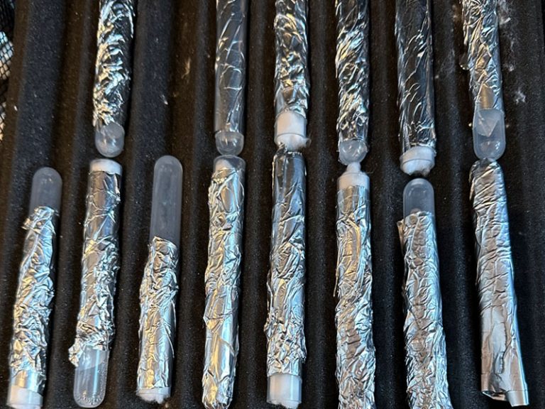 Time to prepare for winter - Ants New Jersey